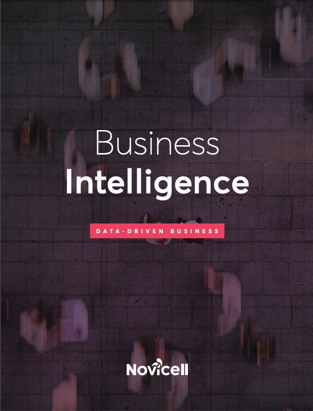 Business Intelligence White Paper | Novicell UK